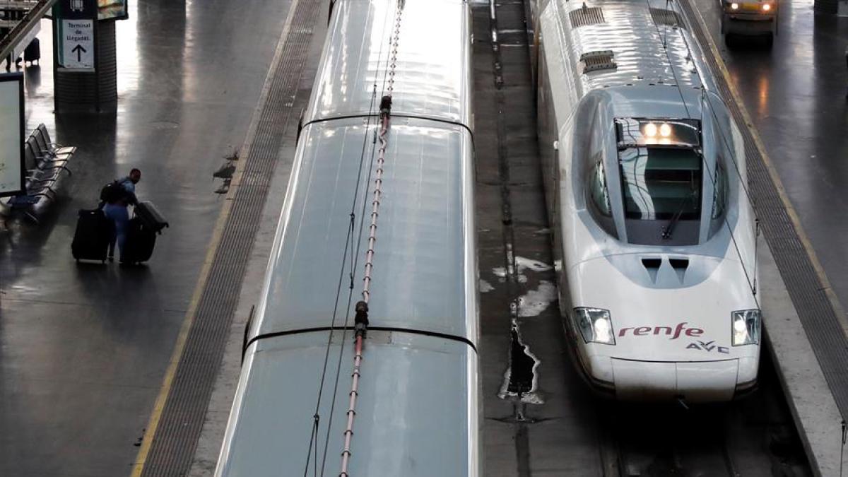 Renfe suspende 19 trenes entre Madrid, Valencia y Murcia tras la incidencia del sábado en Atocha