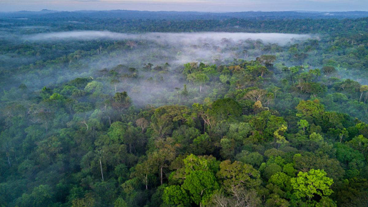 Un arqueólogo sostiene que la leyenda de la ciudad perdida en el ...