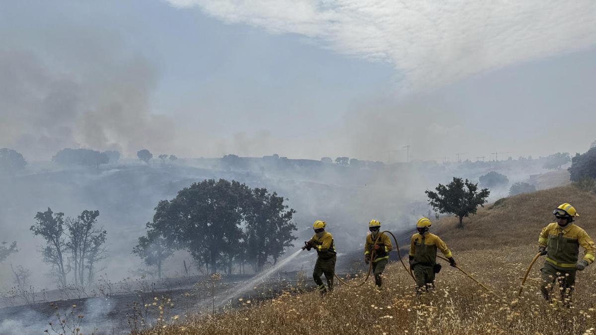 Creen que esta pudo ser la causa del incendio de Tres Cantos que quemó ...