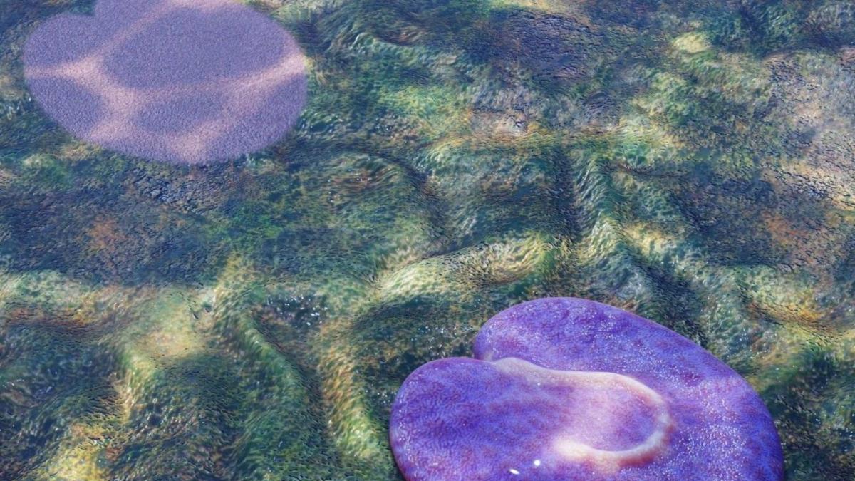 Este misterioso animal de 500 millones de años con un raro detalle en ...