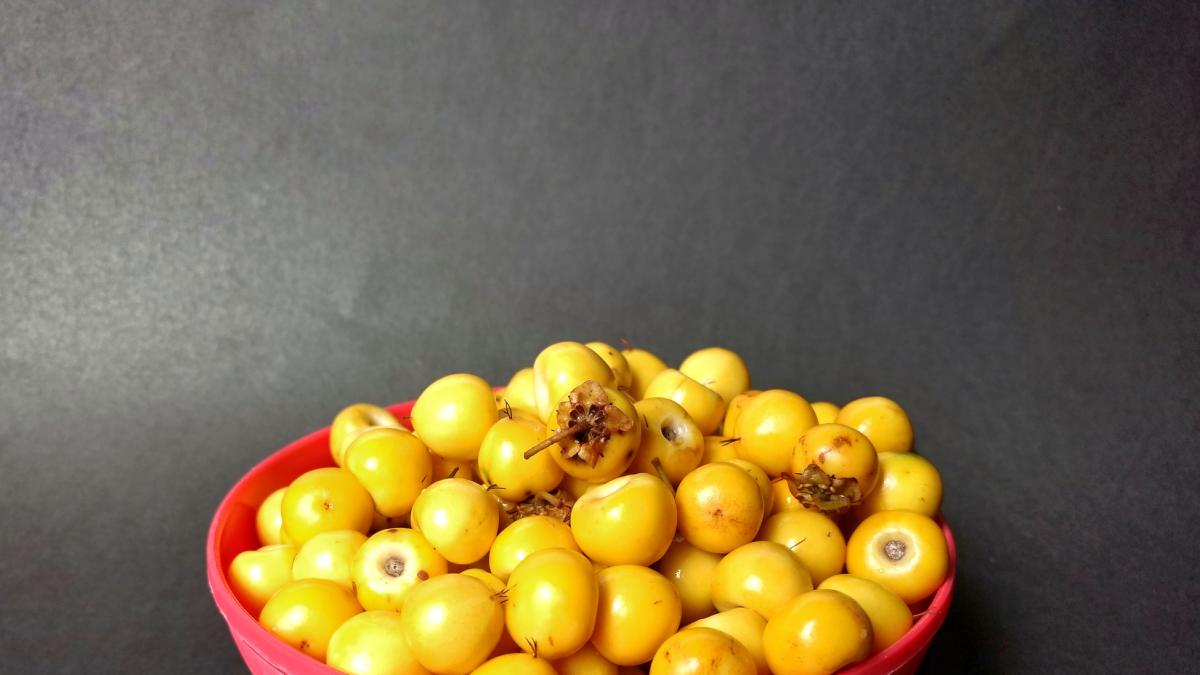 La desconocida fruta que tiene el secreto de la juventud