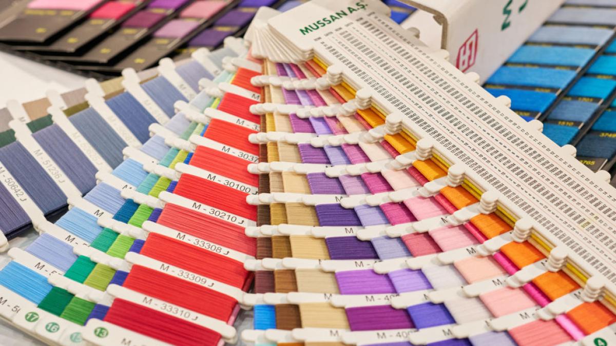 Tu color preferido es capaz de predecir tu edad mental