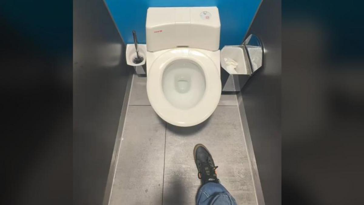 El sistema de estos váteres en Alemania arrasa y piden incorporarlo en ...