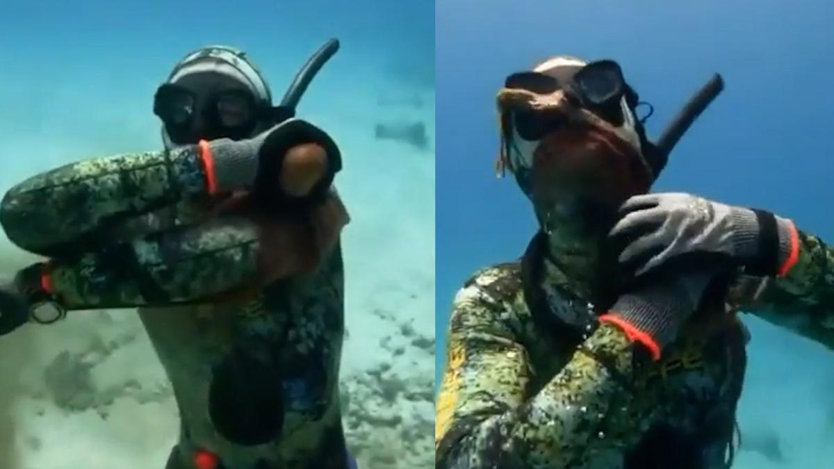 Un buzo se mete en apuros después de que un pulpo lo atrapara de forma ...