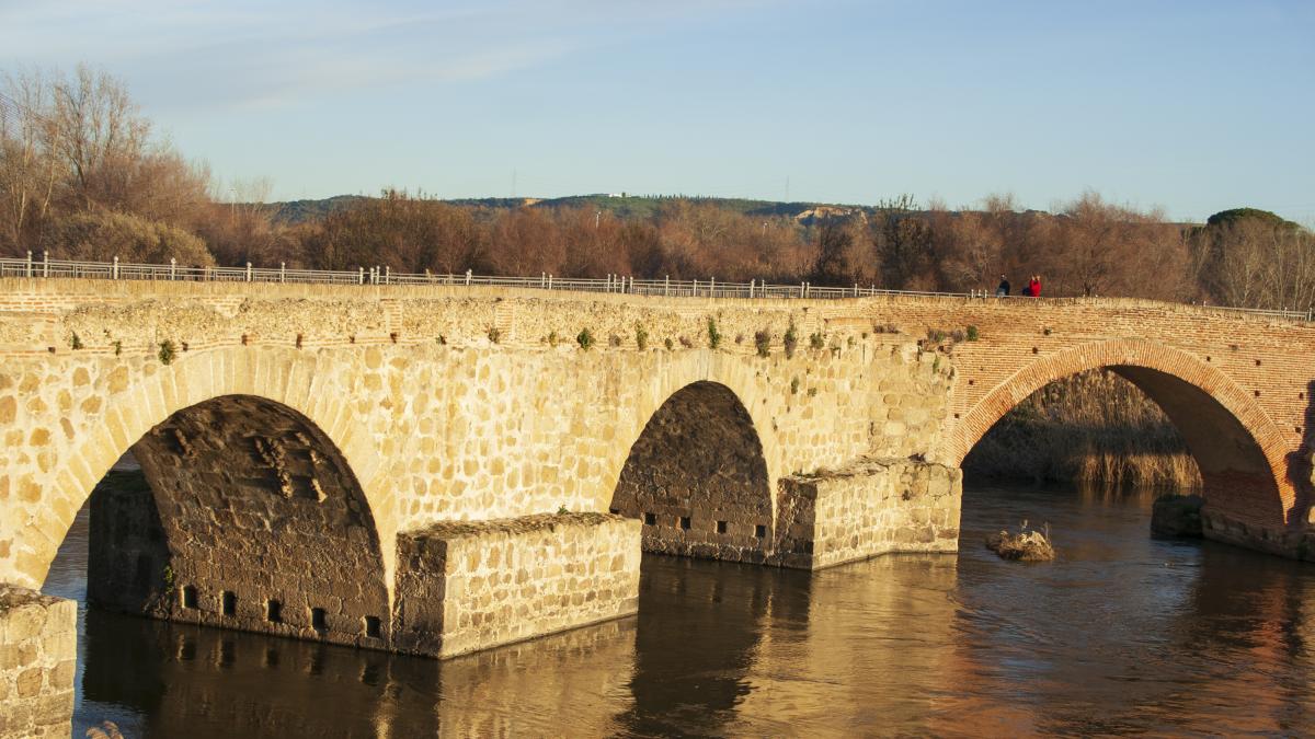 La fuerza del agua derrumba parte del puente romano de Talavera de la Reina