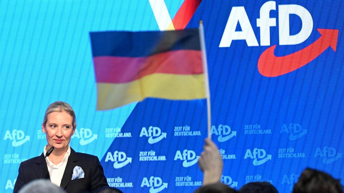 El servicio secreto alemán no calificará a la ultra AfD de extremista ...