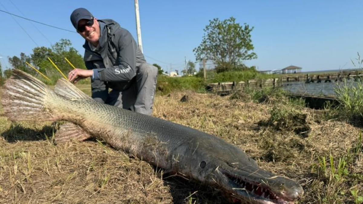 Asombro global con la captura del monstruo de río prehistórico más ...