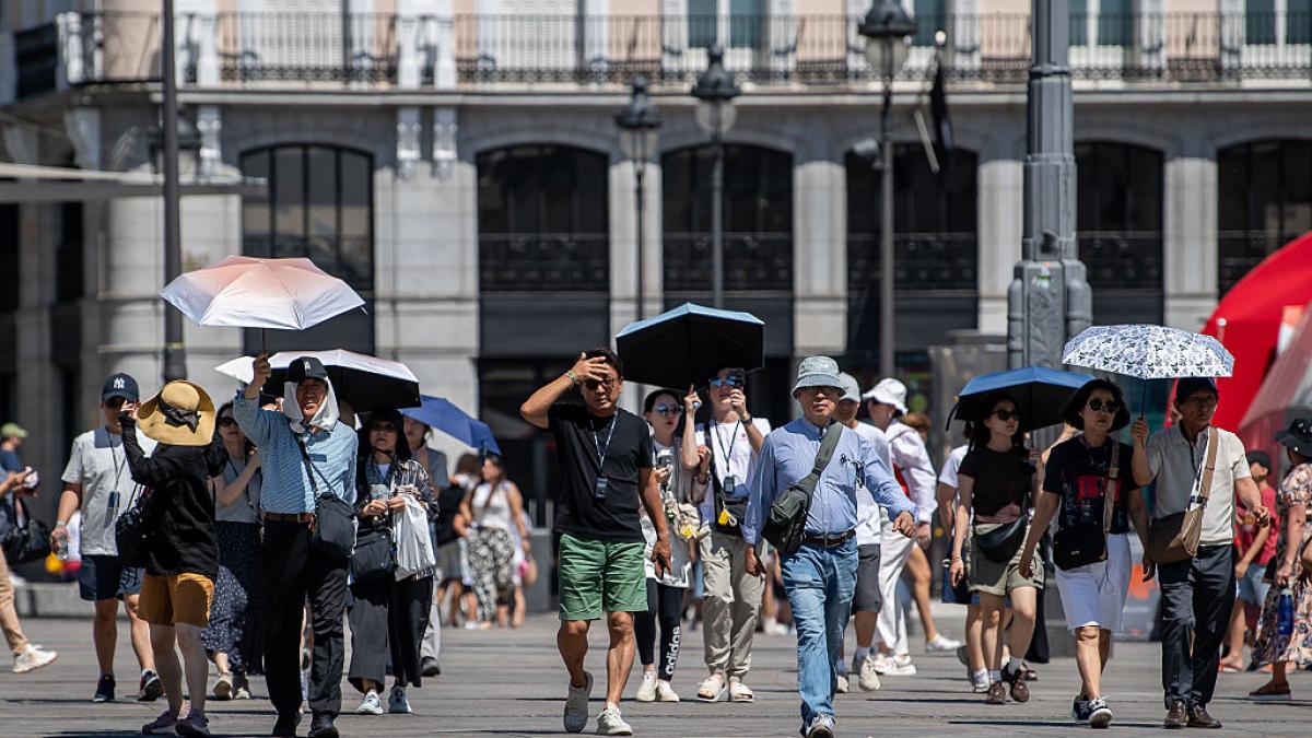 Publica dos imágenes sobre el sistema para dar sombra de una calle de ...