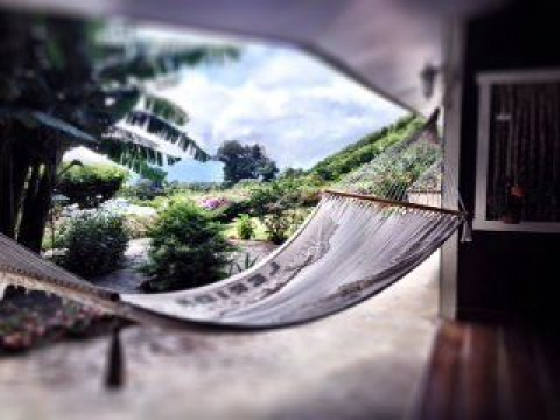 Historia de un café en Panama llamado Finca Lérida