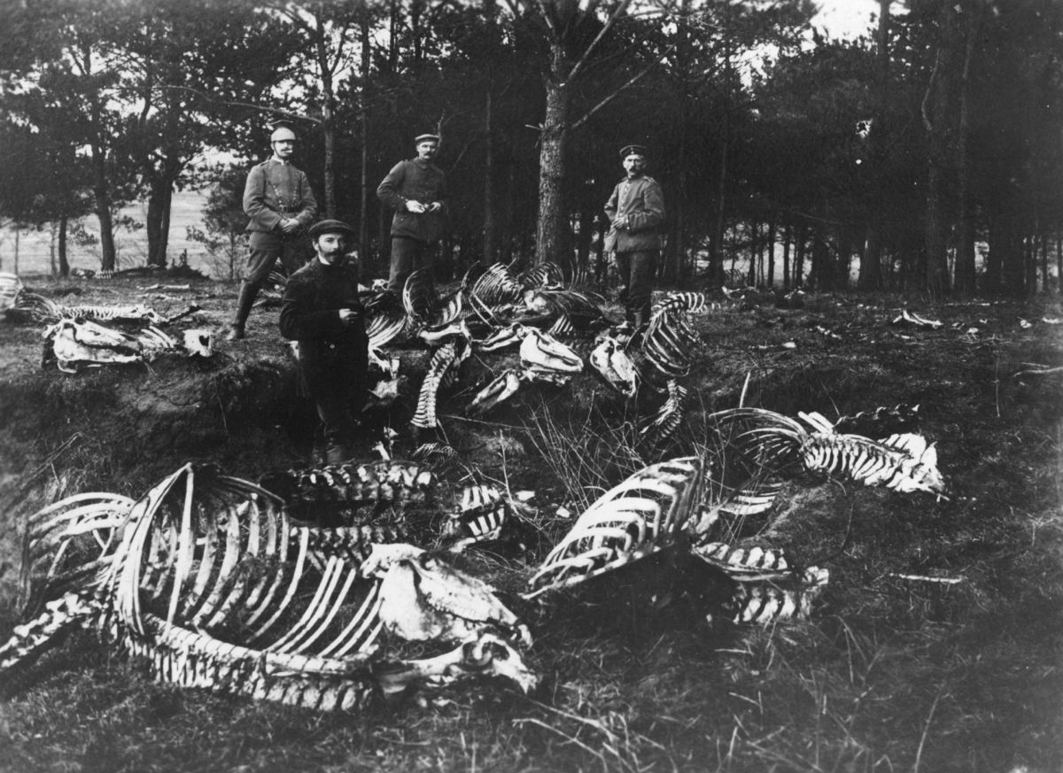 Fotos de la Primera Guerra Mundial: 99 aniversario del verano de su ...