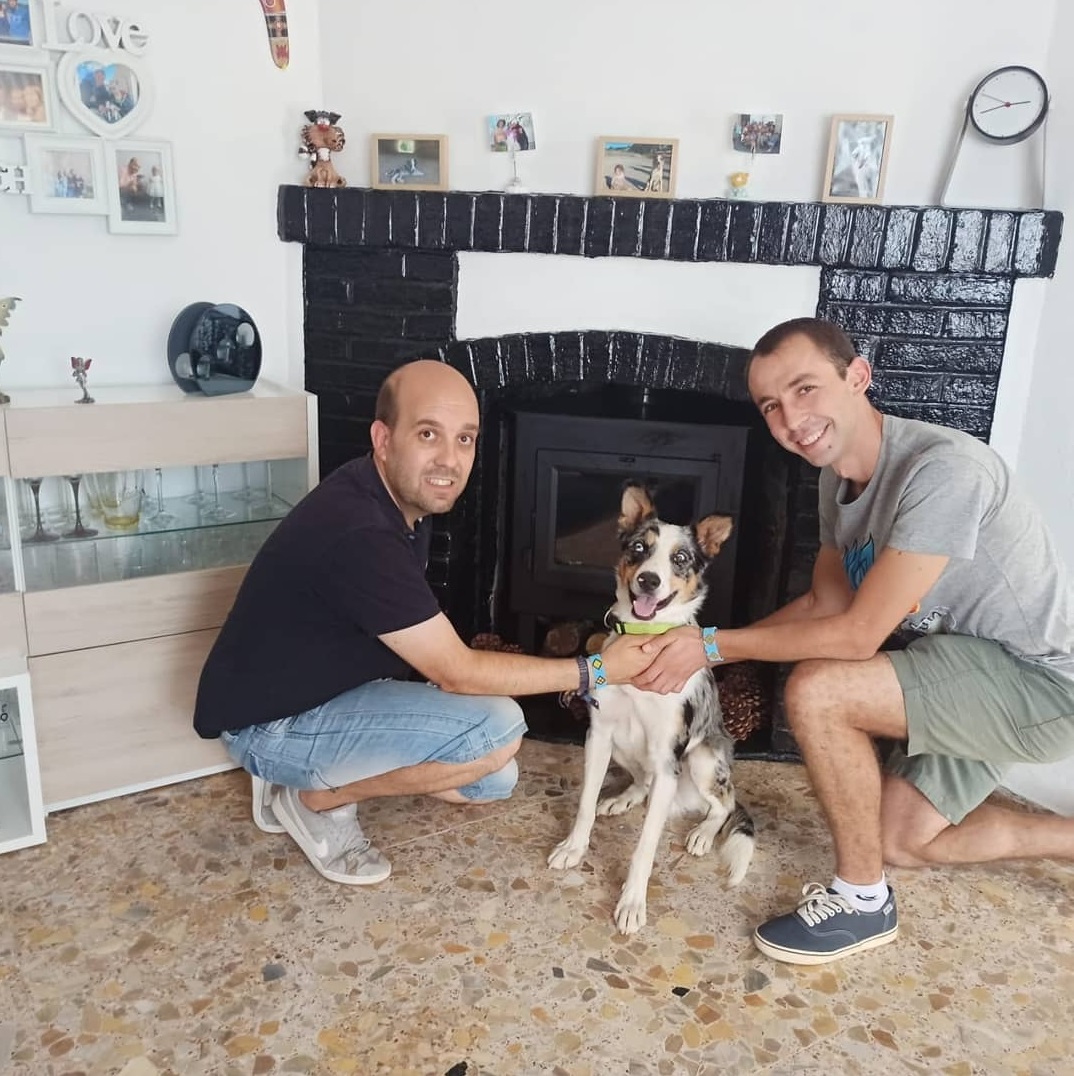 La realidad de la adopción en España: ¿por qué las listas de espera ...