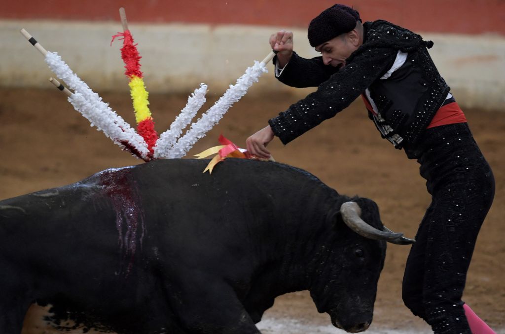 Castilla y León patrocina cursos infantiles para fabricar y poner ...
