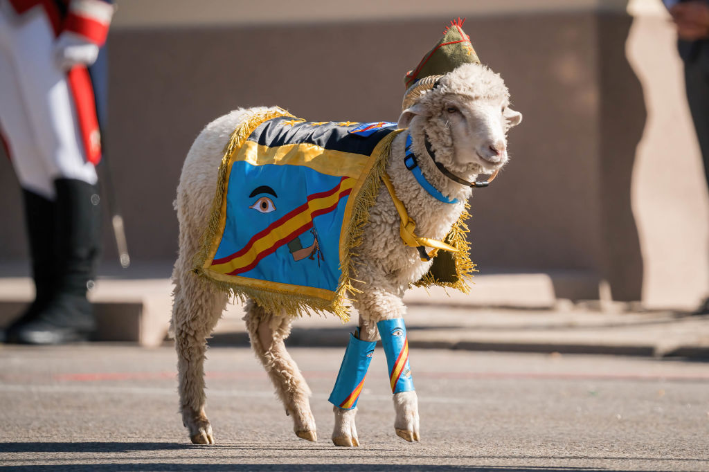 Enfocan a la grada de autoridades en el desfile del 12 de octubre y ojo ...