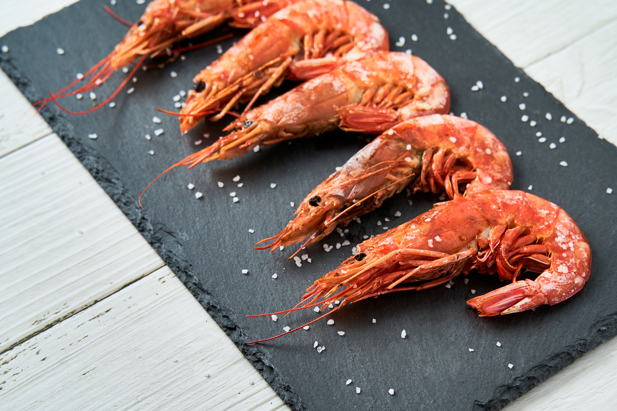 España es el coladero de Ecuador del langostino peligroso
