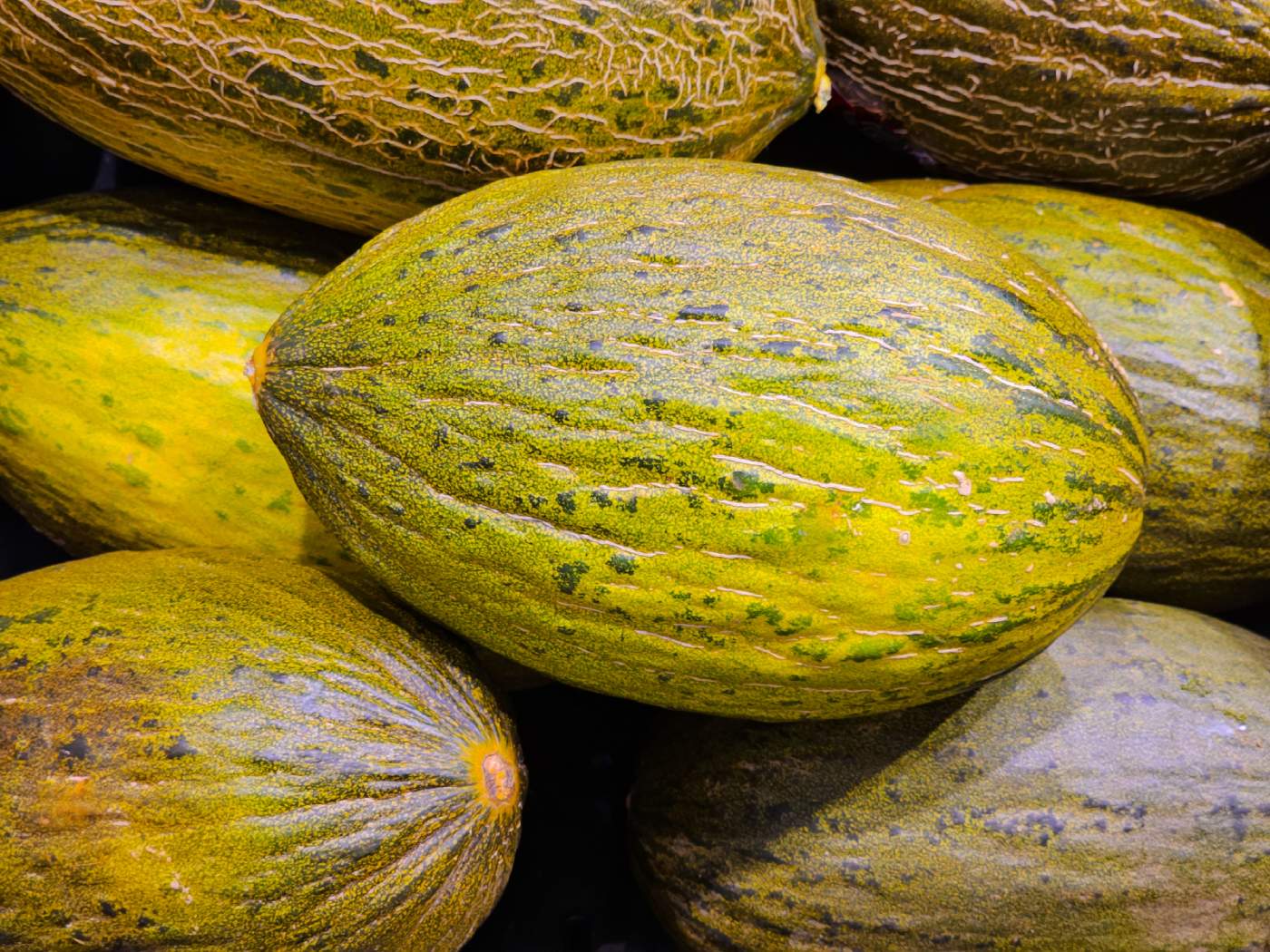 Marruecos lanza un serio aviso a España con el melón de 2024