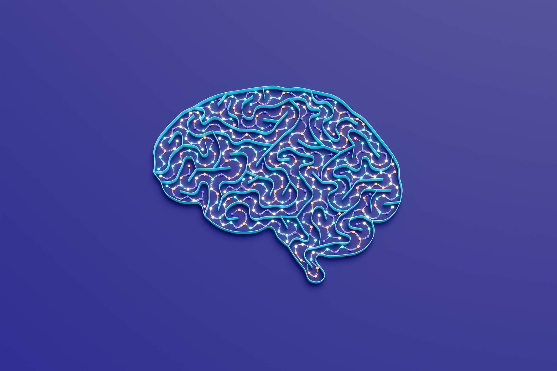 Un psiquiatra revela los 16 tipos de cerebro y cómo saber si tienes el ...