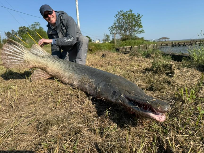 Asombro global con la captura del monstruo de río prehistórico más ...