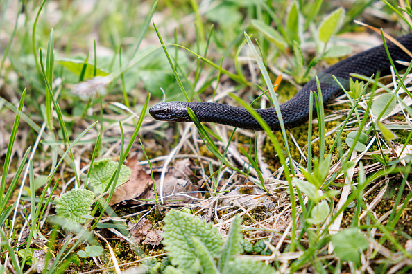 Un experto sorprende al revelar la distancia a la que tienes que alejar ...